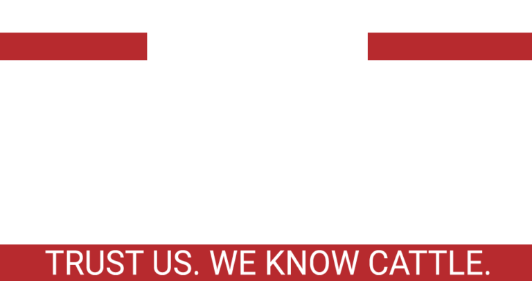 Home - 3C Cattle Feeders